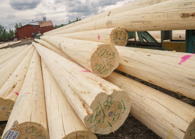Production process wooden poles - Poles