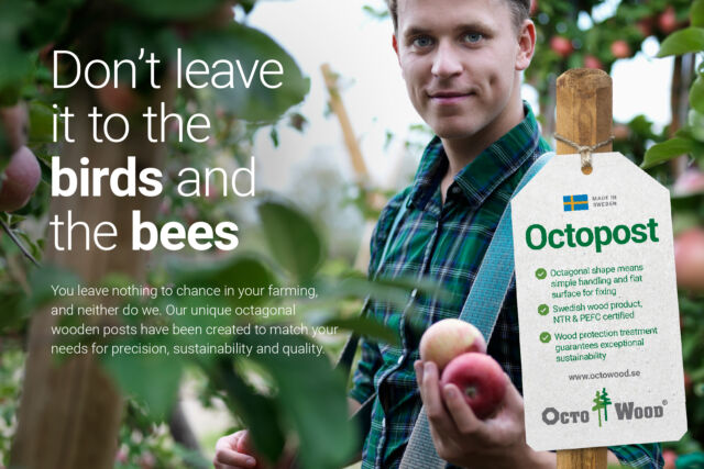 Wooden posts - The Octopost - Octo Wood